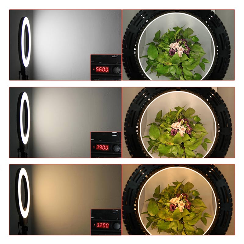 Anello luminoso a LED di piccole dimensioni