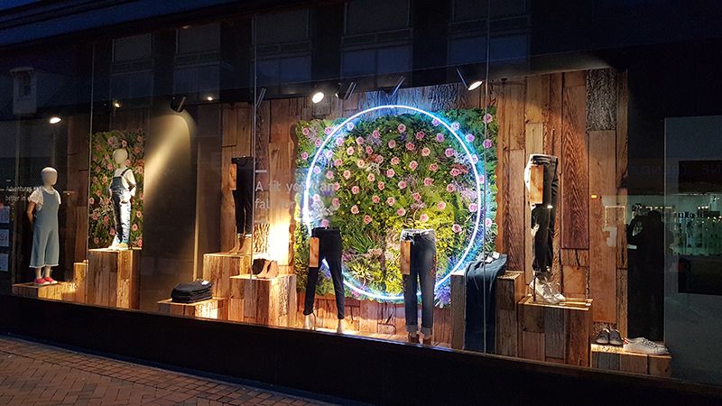 Neon Lighting for Brand Window Dispay\M&S Neon Lighting Window Display