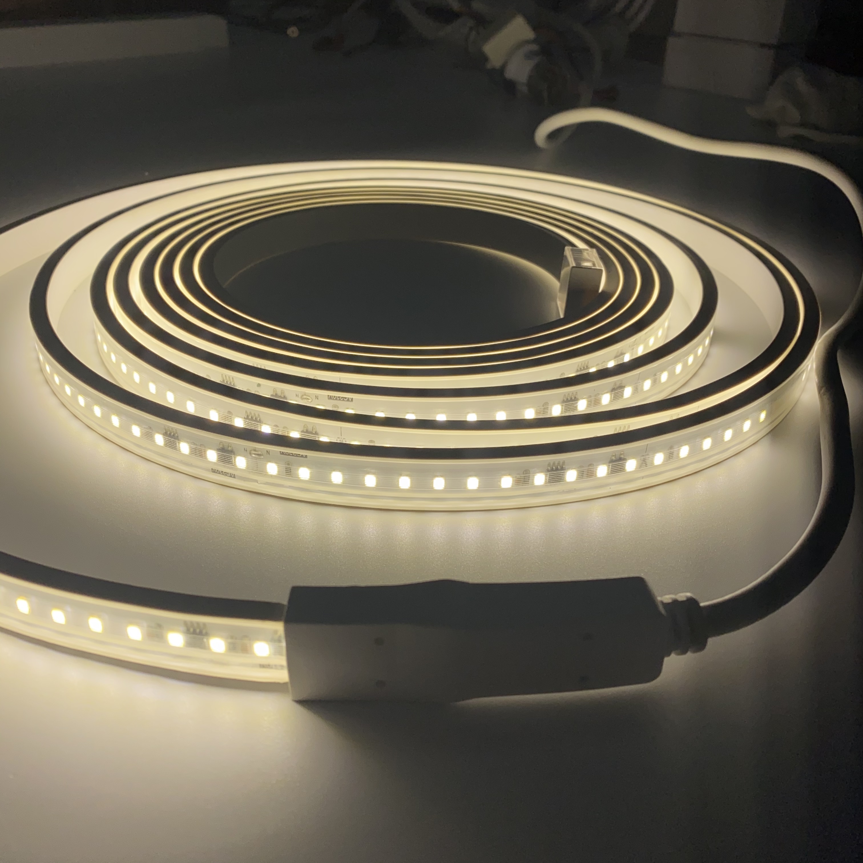 RGB COB LED Flexible Strip Light