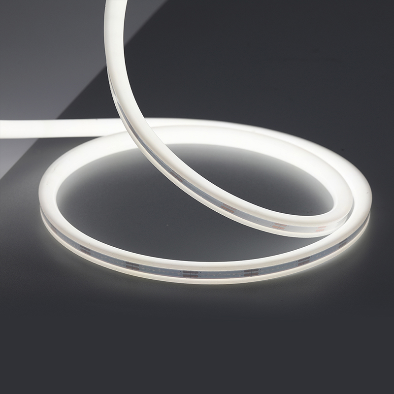 LED Neon Flexible HM-09*10mm Waterproof IP67