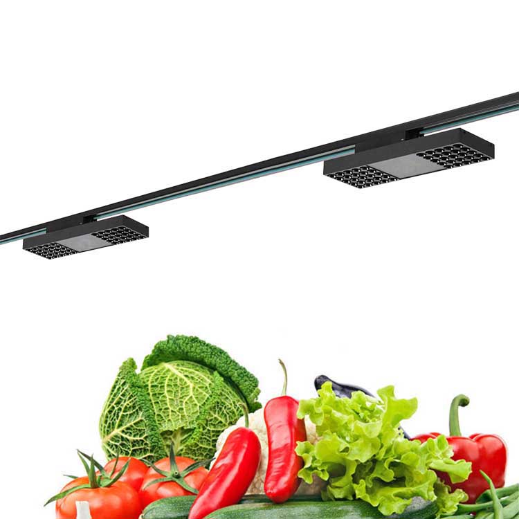 LED Ultra thin fresh light-HM-D35A