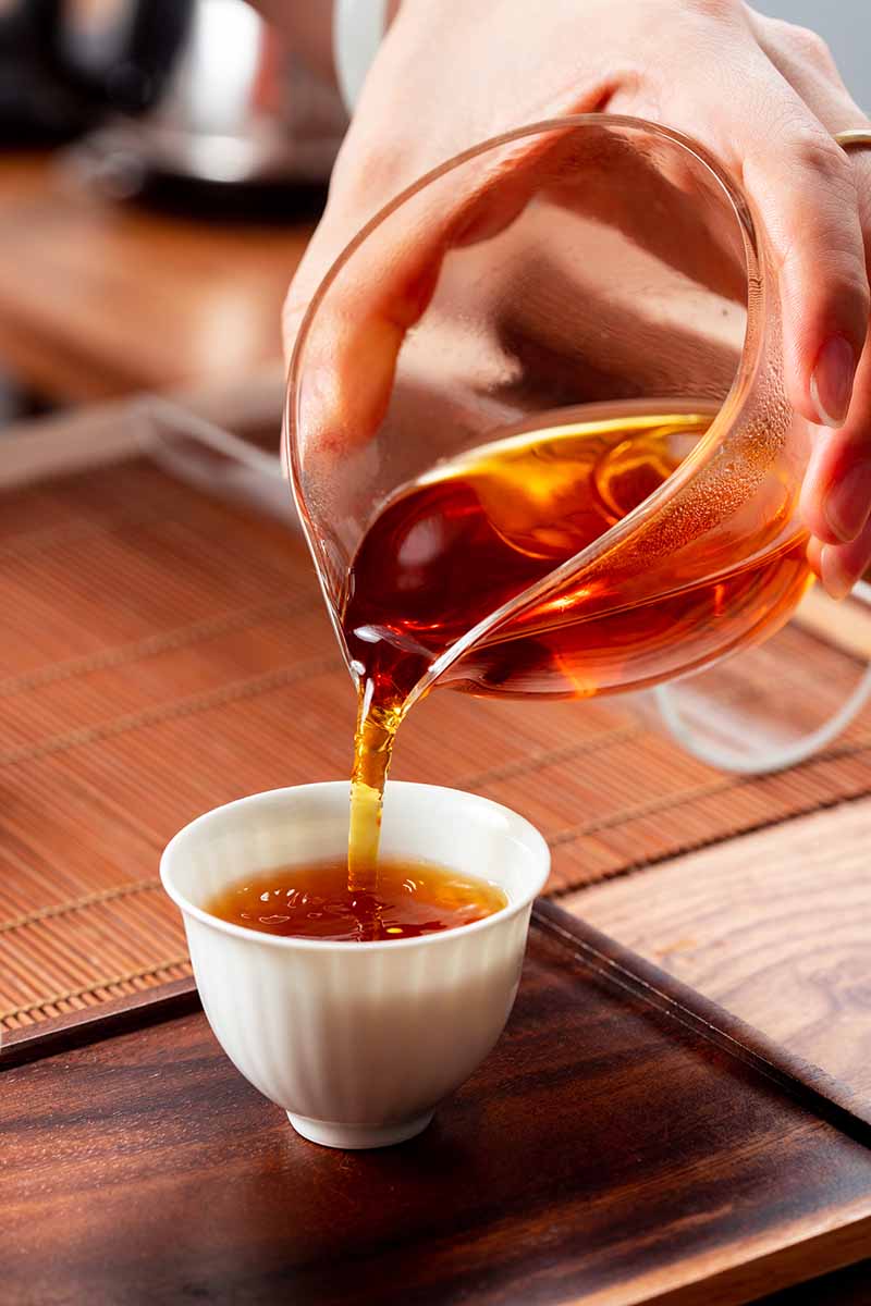 Why is tea divided into six categories