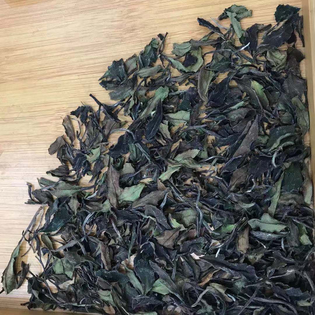 Visit to Traditional Zhenghe White Tea plantations