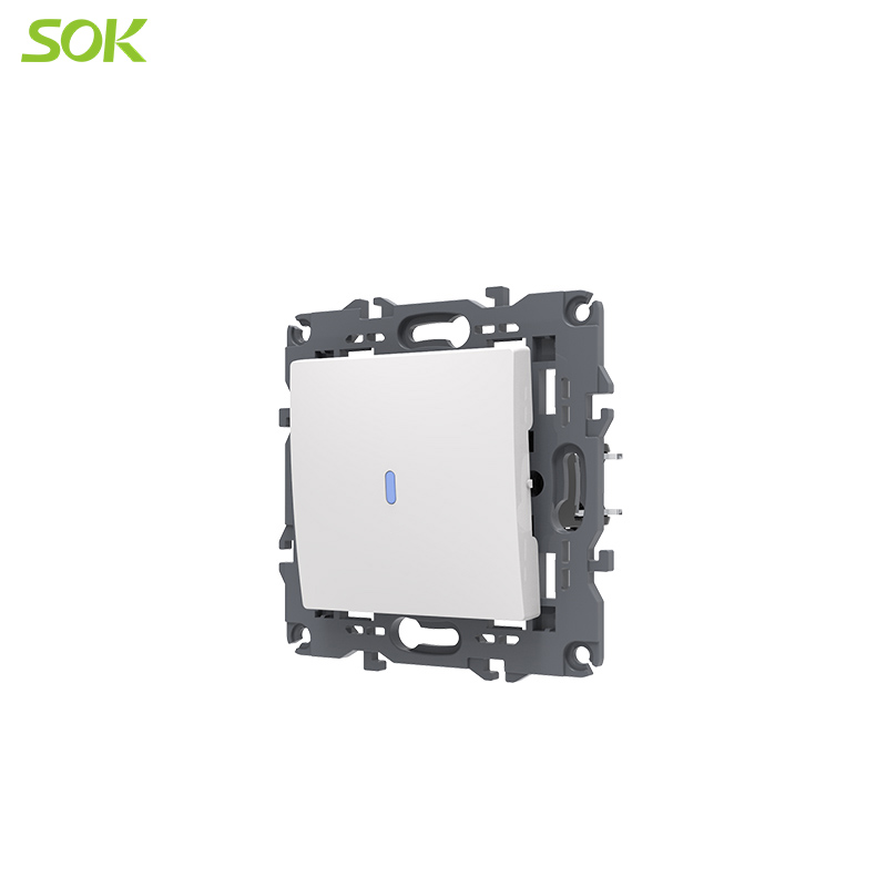 Single Gang 2 Way 10A Double Pole Switch with Indicator